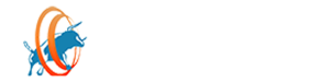 Junction Forex and Money Remittance